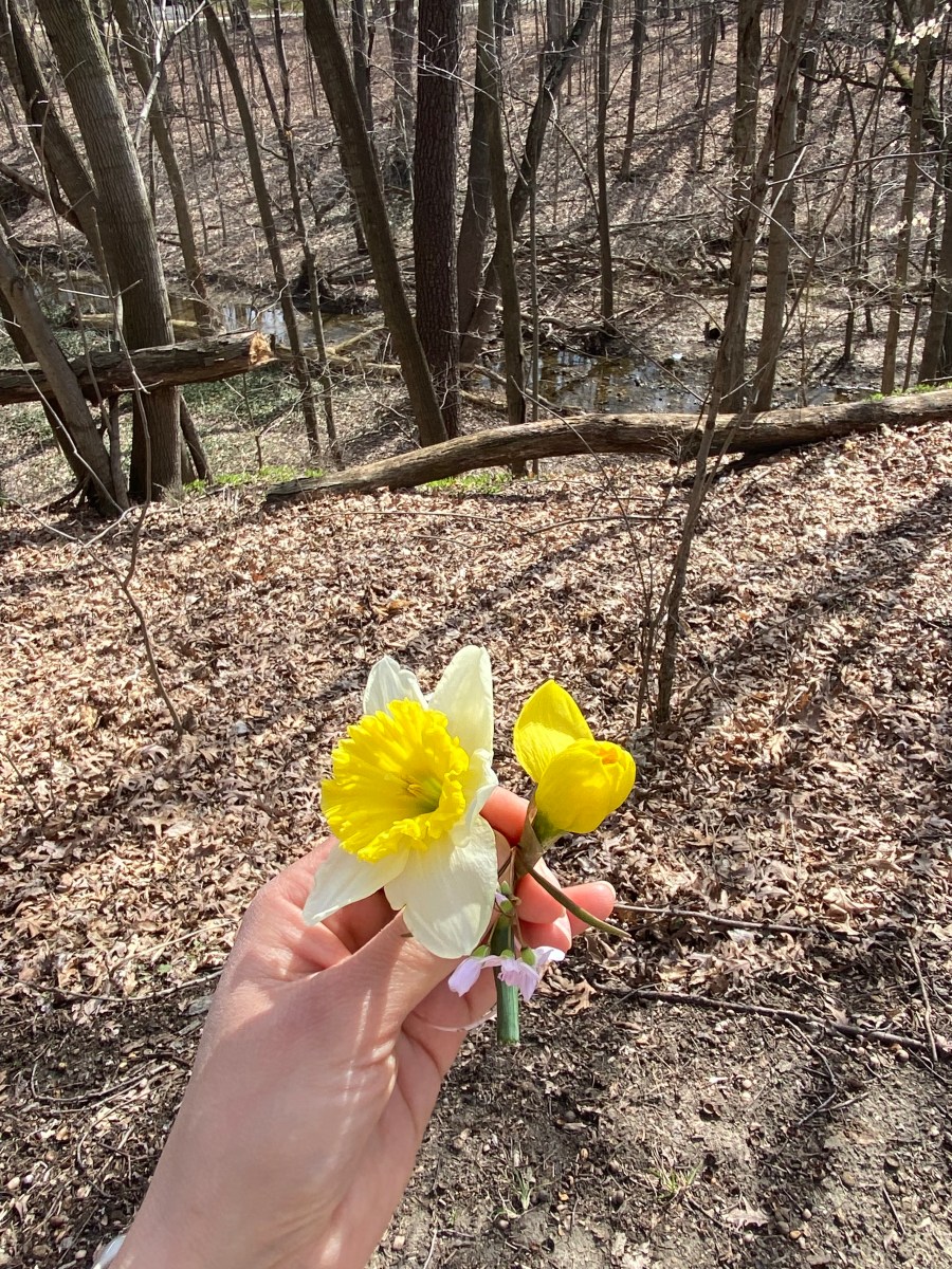 Living Life Differently – Overflow of the Heart